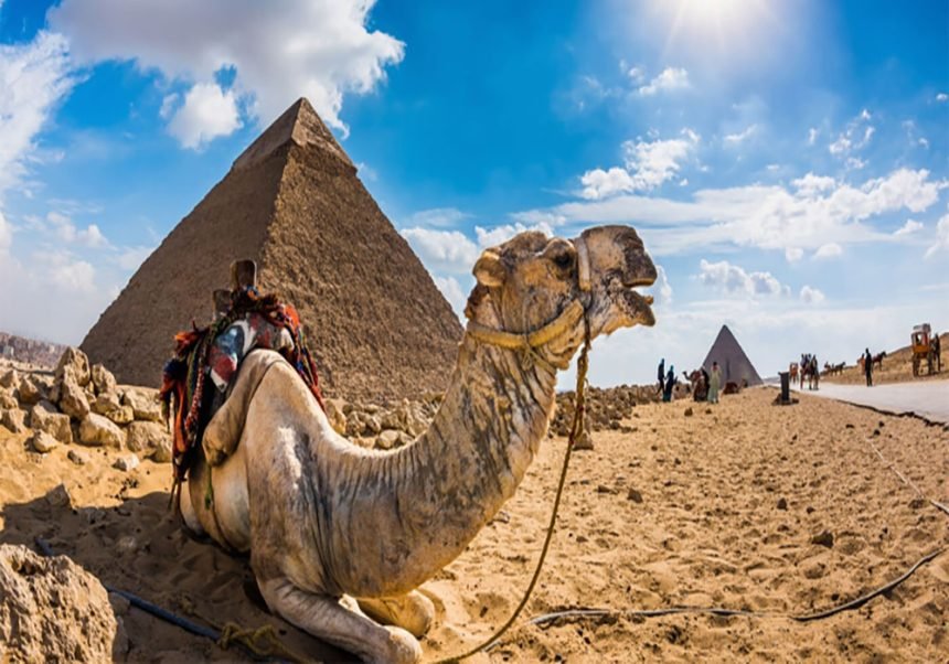 Bob Marley Tours Egypt